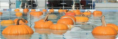 South Portland Parks, Recreation & Waterfront: Pool Pumpkin Splash ...
